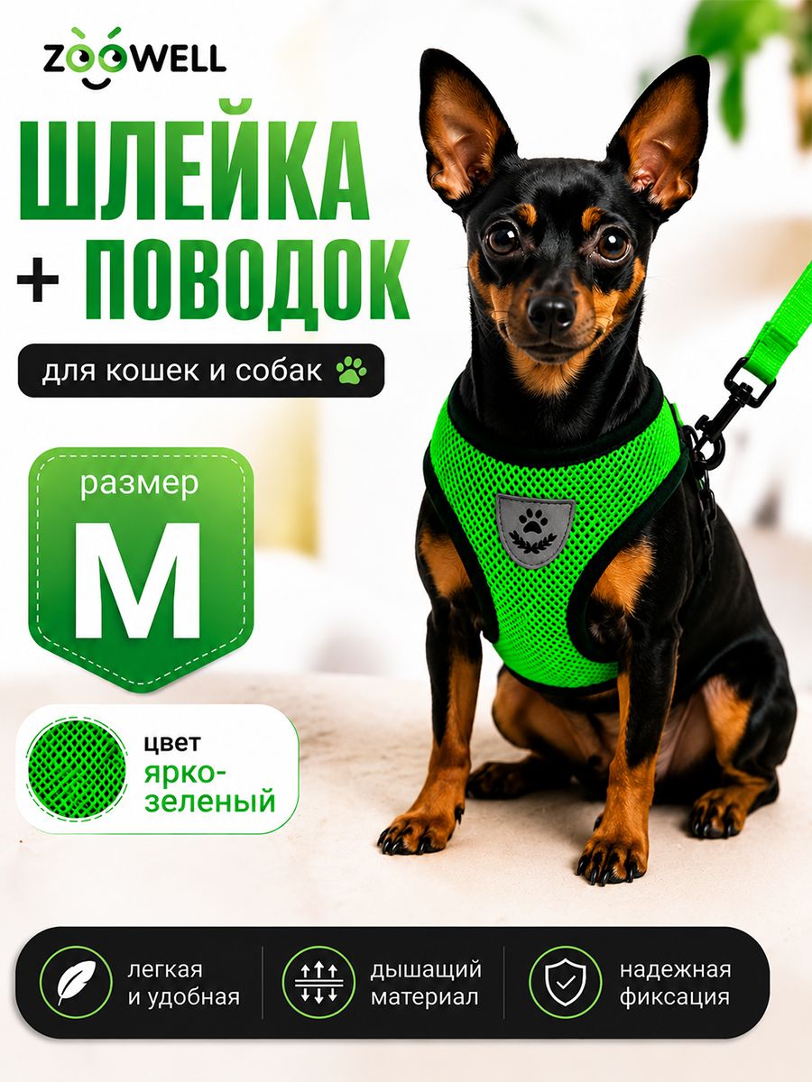 Шлейка и поводок для кошек, маленьких пород собак и хорьков ZOOWELL, набор для прогулок, зеленый размер M