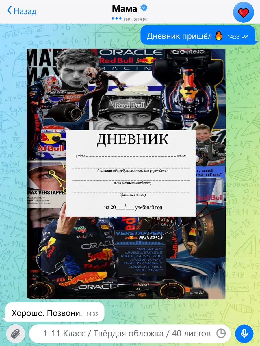 Школьный дневник с принтом Роблокс