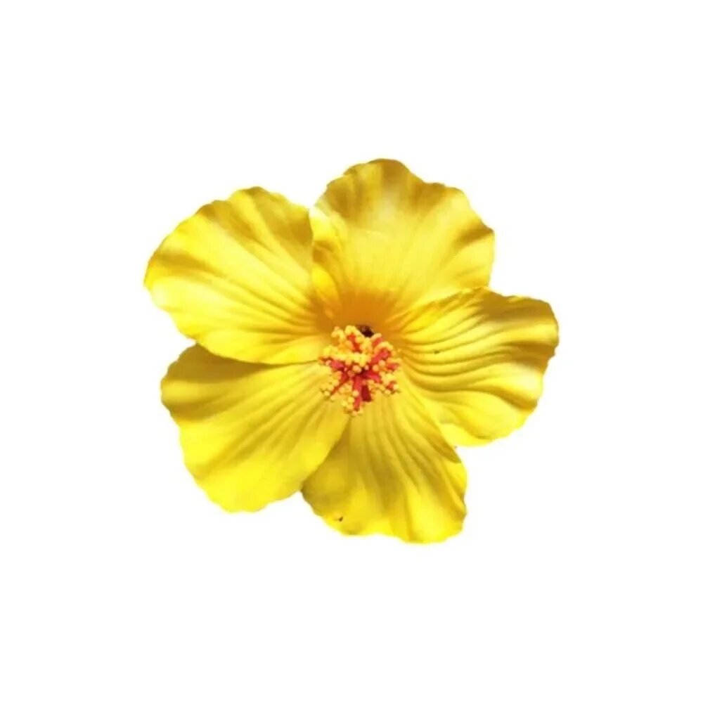 Заколка для волос с орхидеей Phalaenopsis B-Yellow