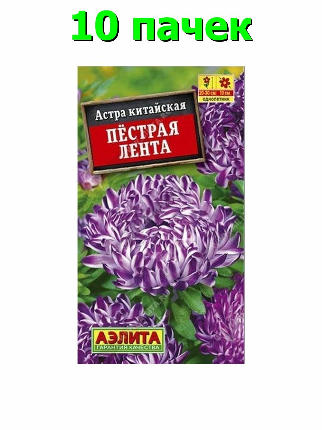 Семена Астра Пестрая лента, однолетник, Аэлита, 1 пачка - 0.1г семян