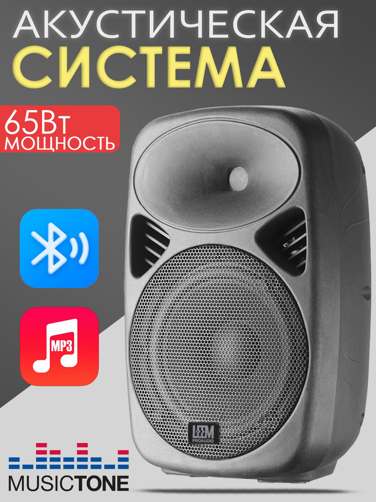 Мощная акустическая система для дома SPA-10, 65Вт