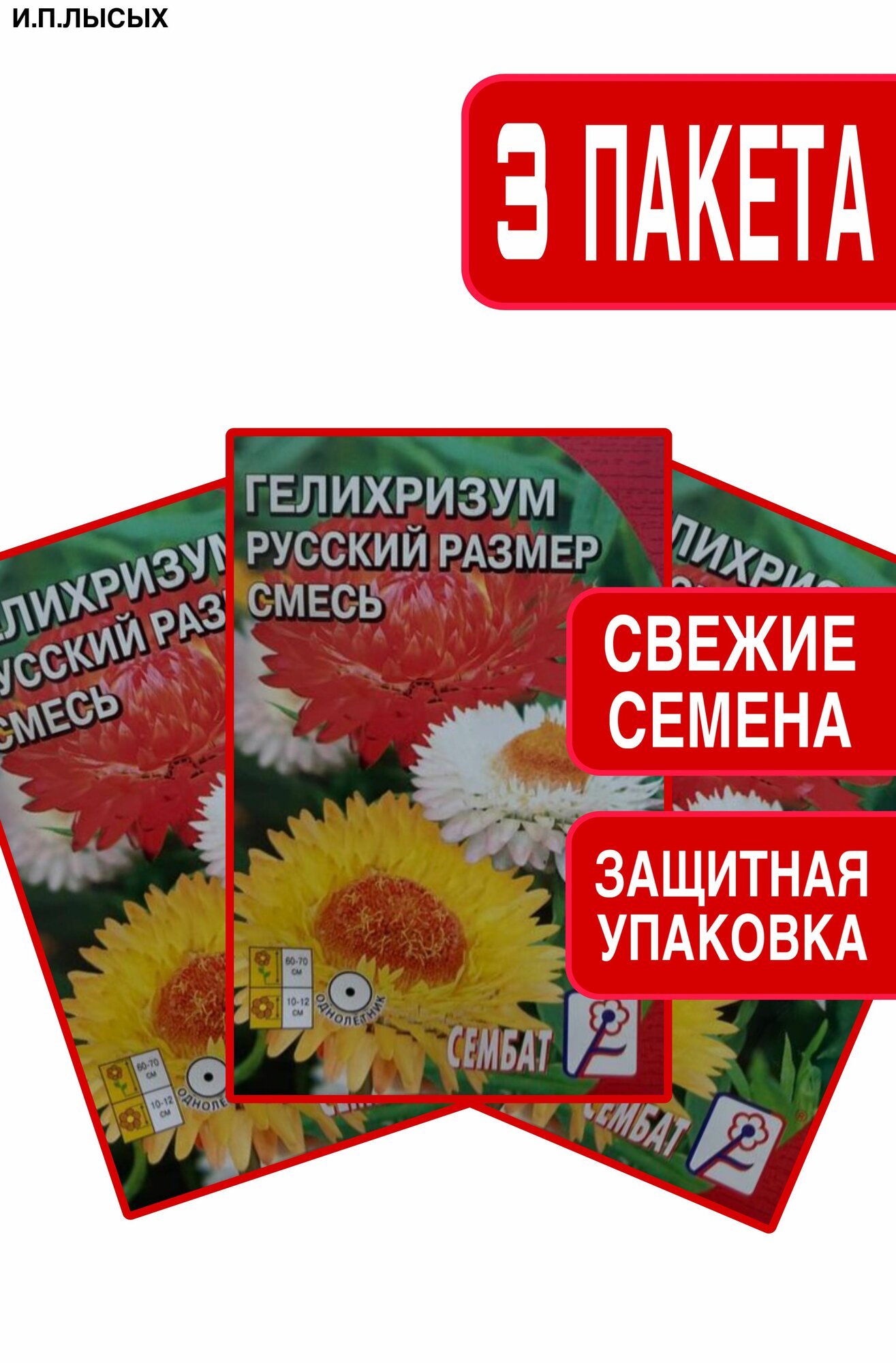 Семена Гелихризум "Русский"