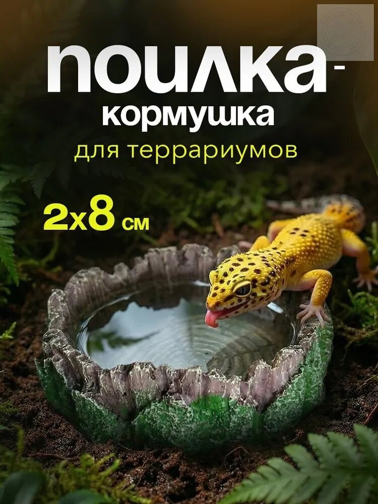 Кормушка-поилка для рептилий "Пень" для террариума