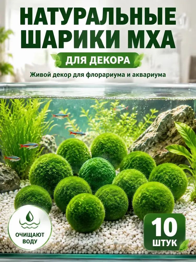Набор из 10 натуральных шариков мха, популярные живые водоросли для аквариума, символ любви и удачи