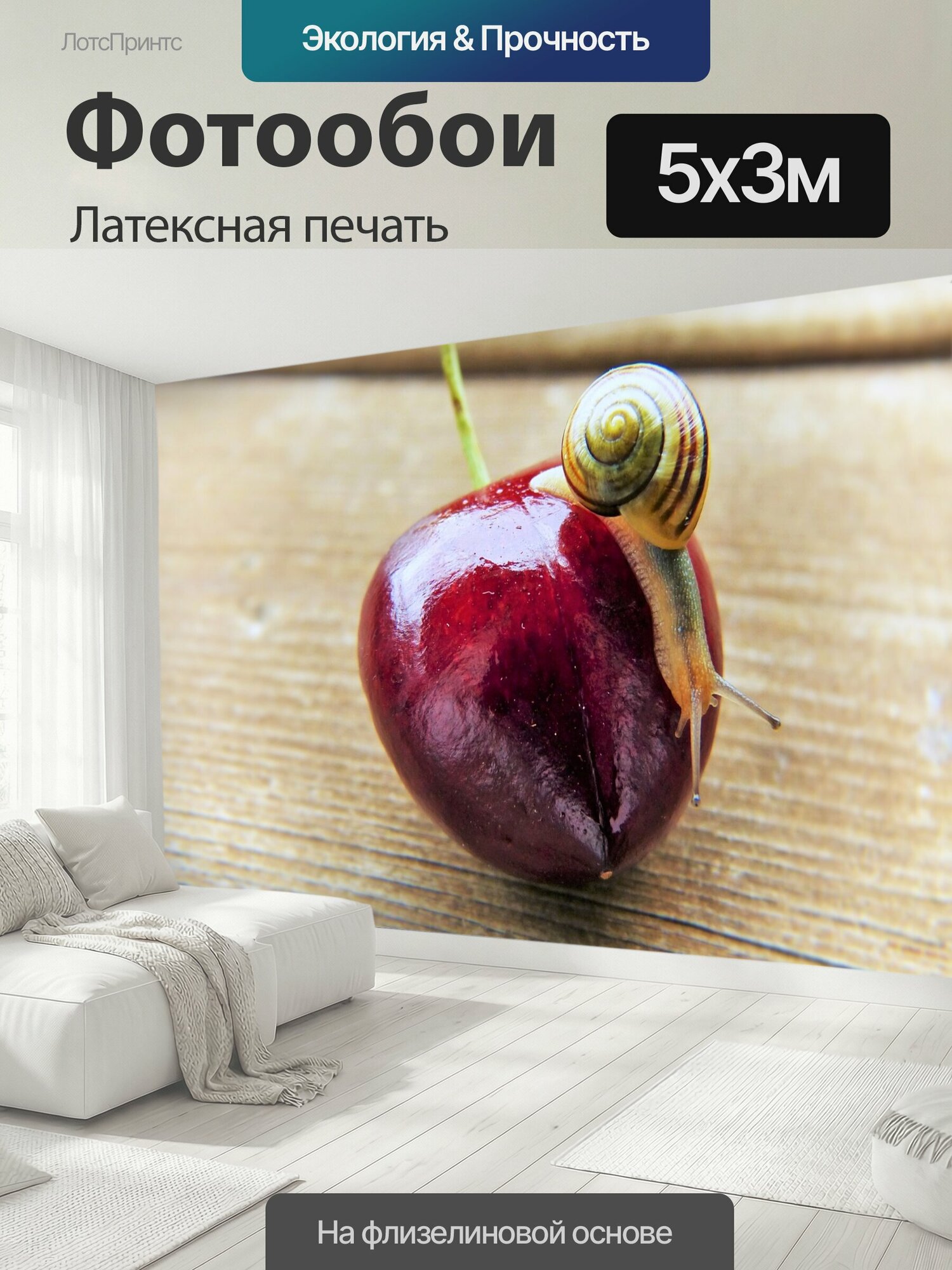 Фотообои моющиеся ударопрочные "Вишня, улитка, оболочка" 500x300 см. латексная печать