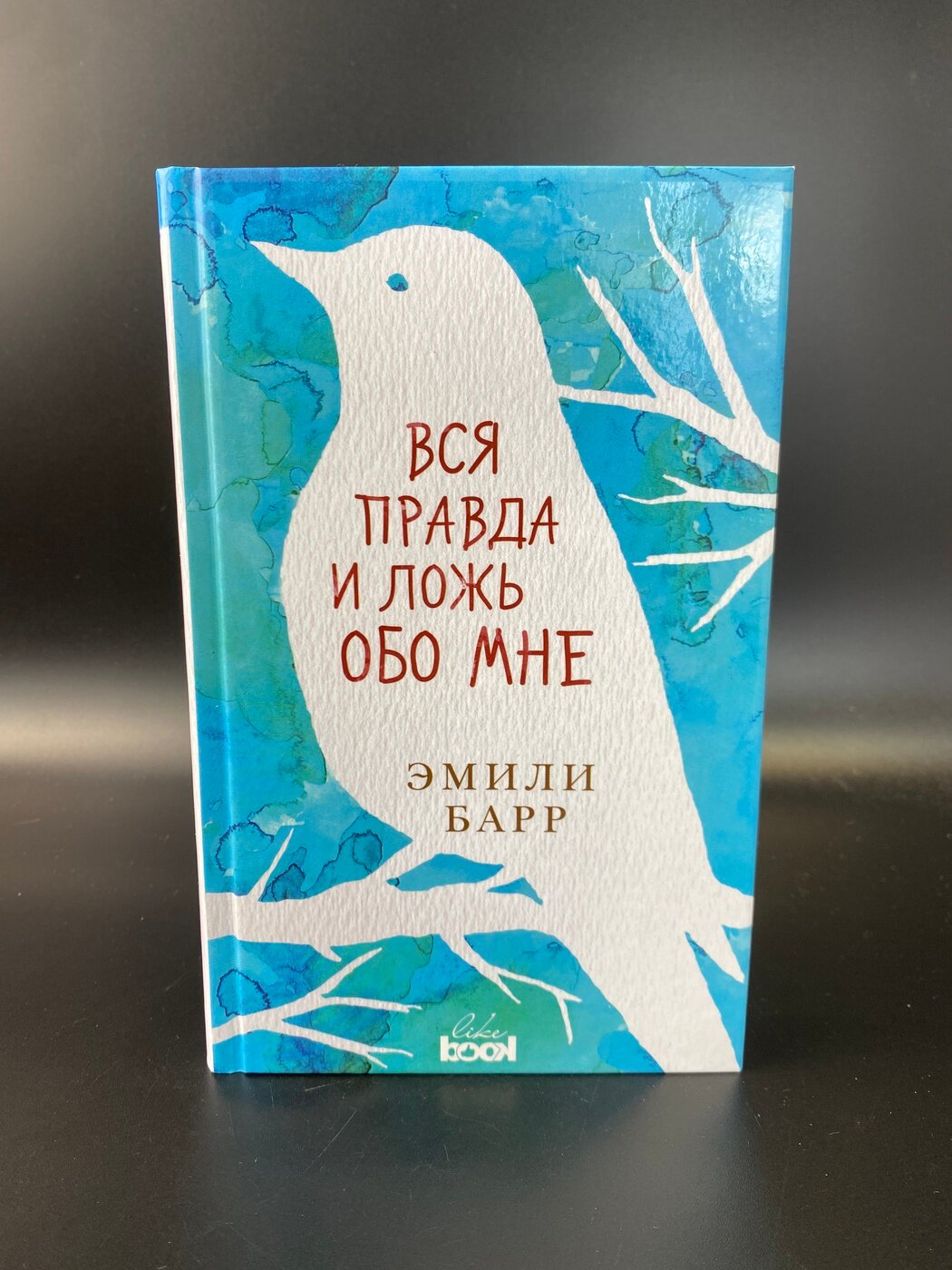 Вся правда и ложь обо мне. Барр Эмили