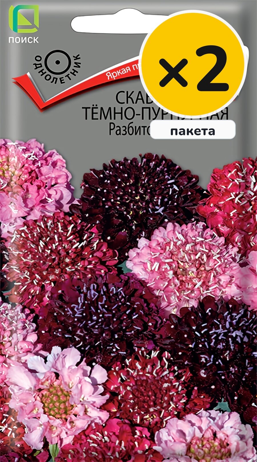 Семена скабиозы тeмно-пурпурной Разбитое сердце, 10 шт, 2 пакета, Поиск, однолетник, высота до 80 см
