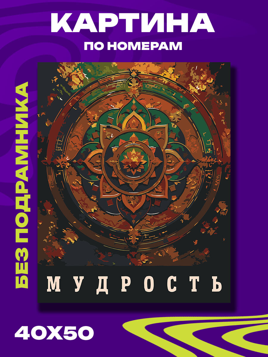 Картина по номерам Мандала вечной мудрости