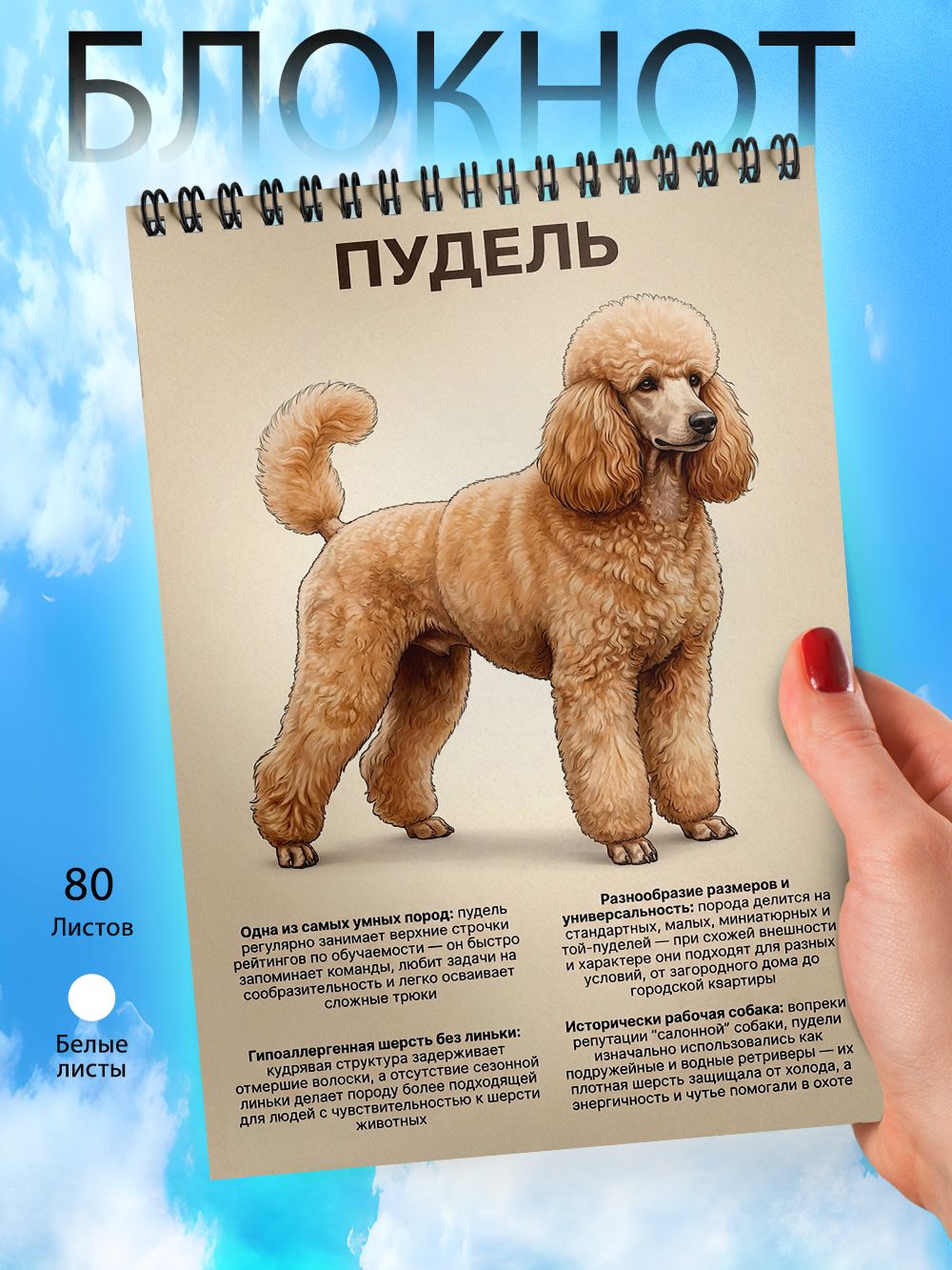 Блокнот А6 - Пудель