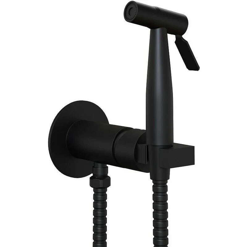 Гигиенический душ Paini Castello Round CAYO442R Черный матовый