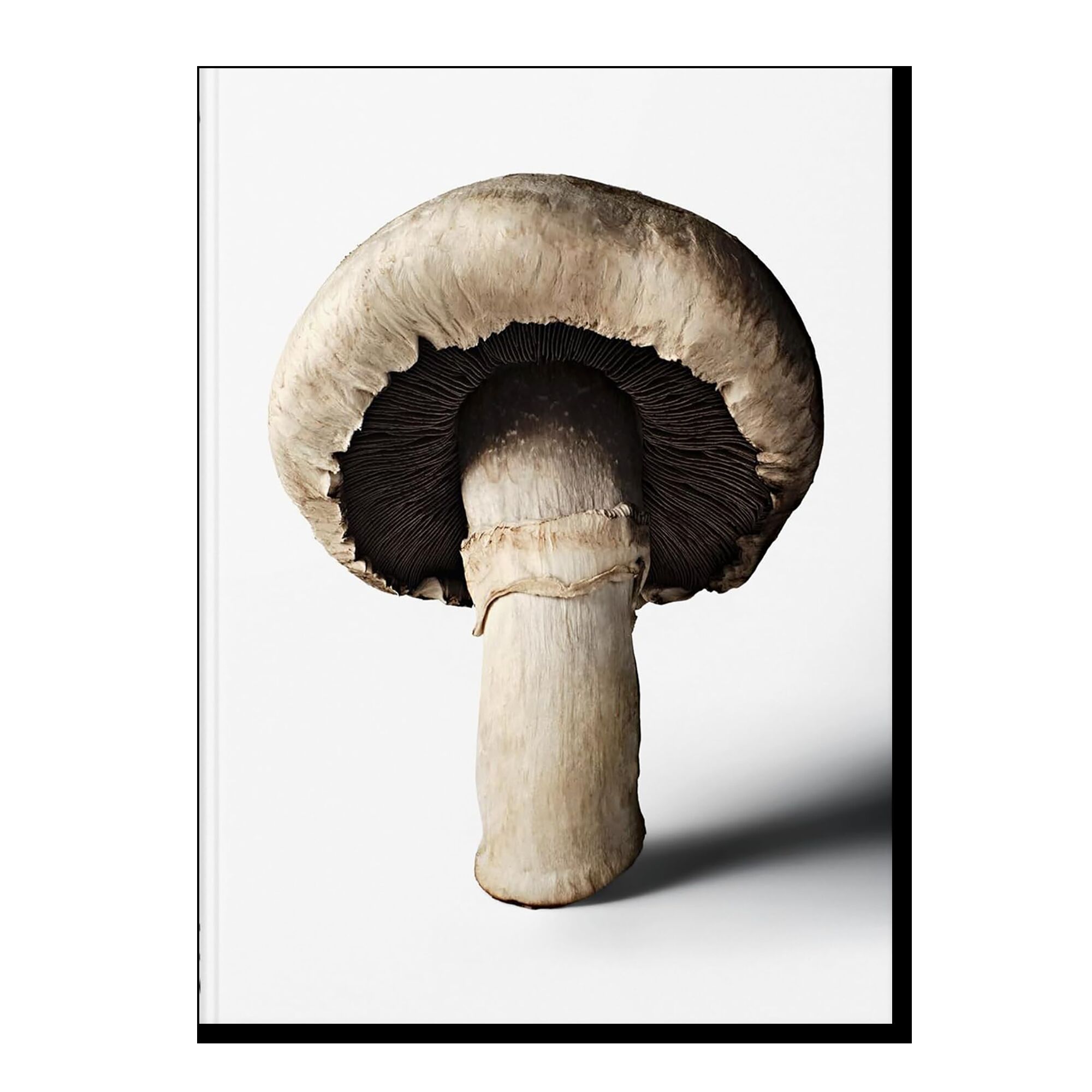 The Gourmand's Mushroom. A Collection of Stories and Recipes