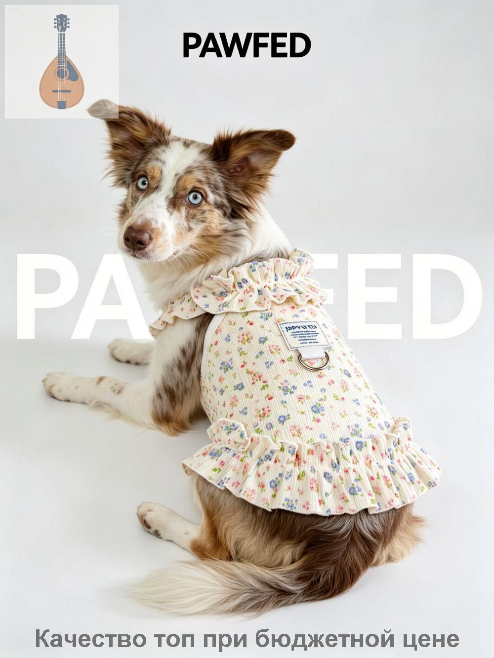 PAWFED Летнее платье для собак и кошек, милое цветочное платье принцессы, дышащее тонкое для весны