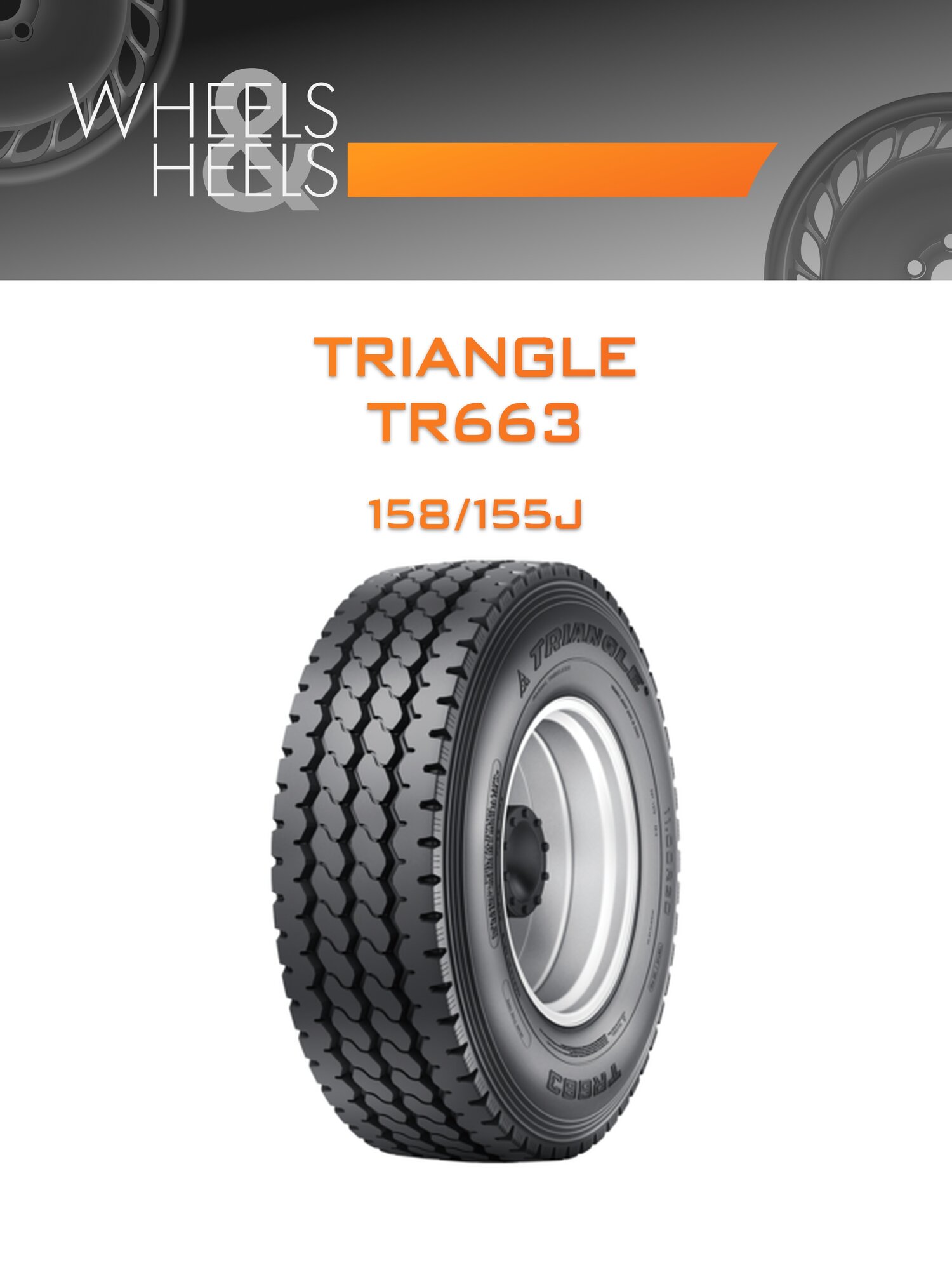 Шина автомобильная Triangle TR663 12/0 R20 158/155J ALLSEASON, всесезонная, универсальная