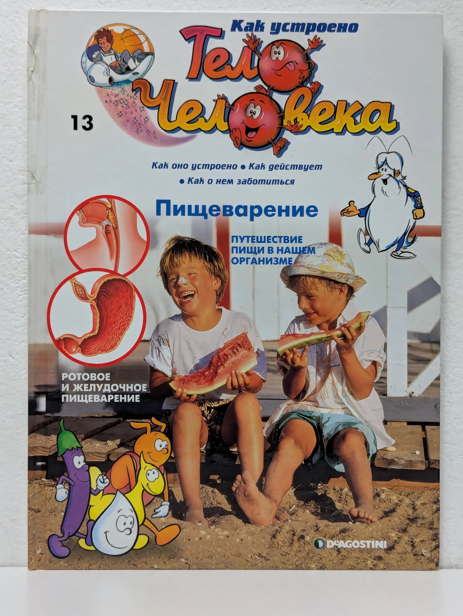 Как устроено тело человека. Выпуск № 13/2007 Сборник 2007