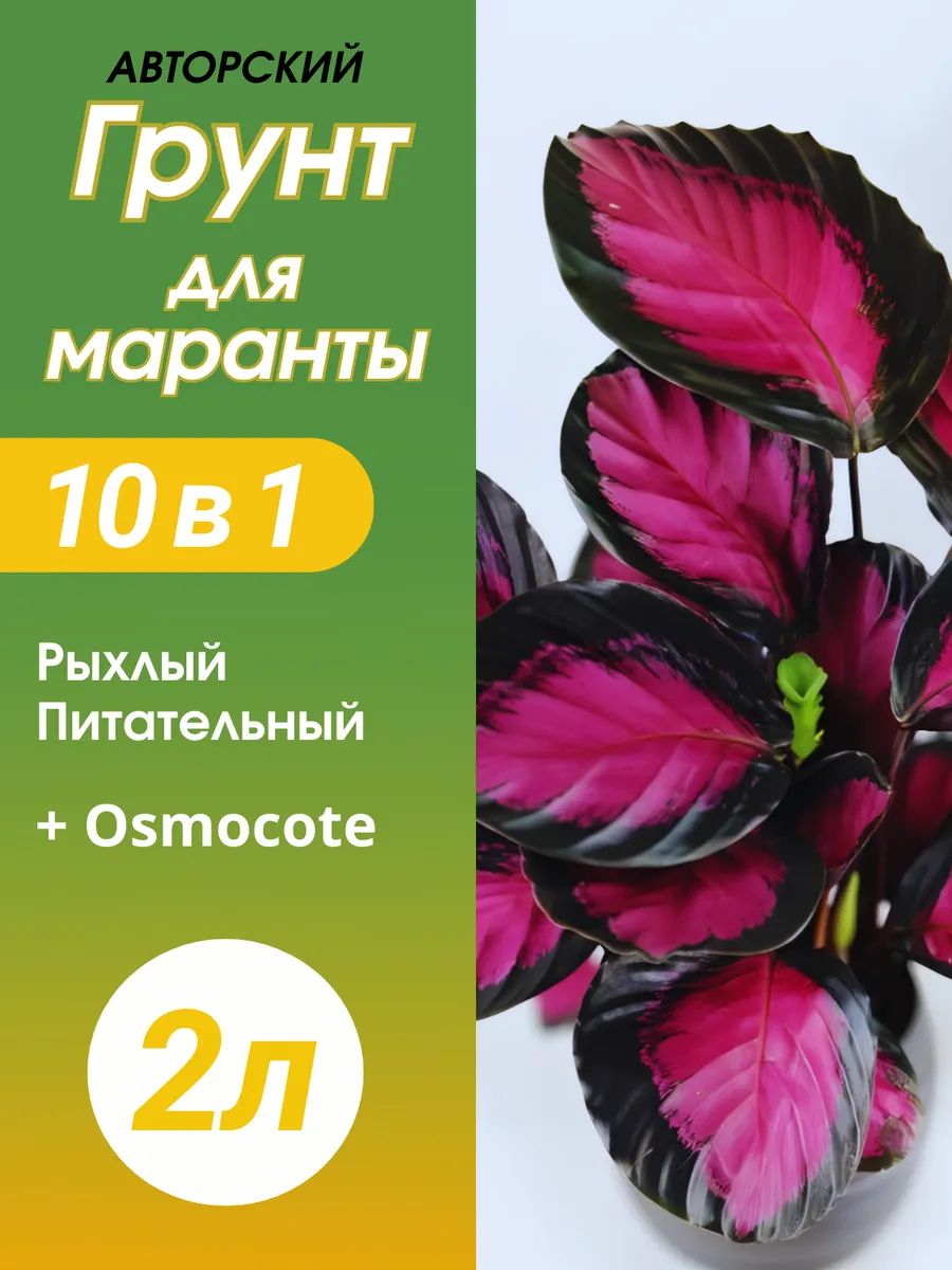 Грунт для Маранты 2л готовый
