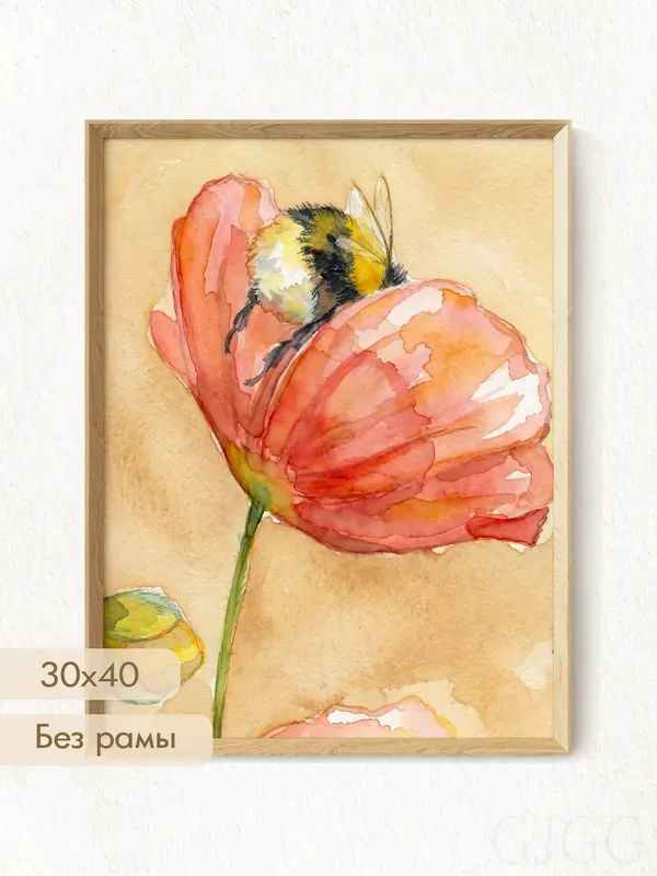 Постер для интерьера "Сонный шмель", 30х40см.