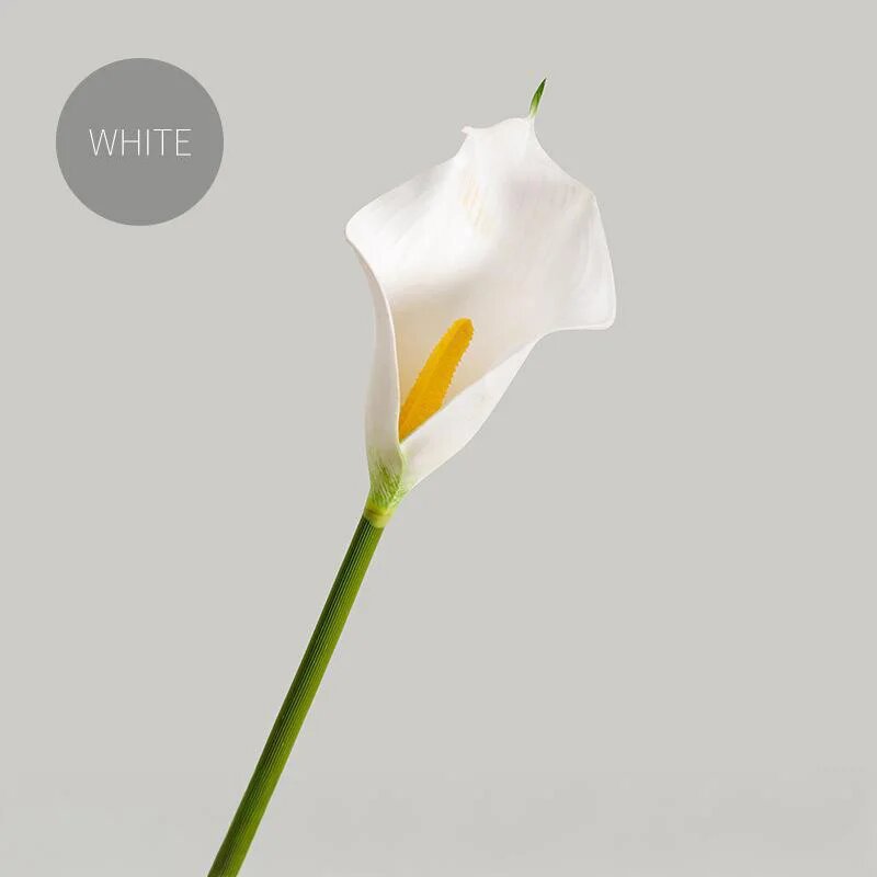 Искусственная калла белая, Small white