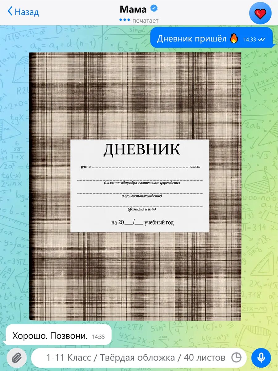 Школьный дневник с принтом y2k pinterest