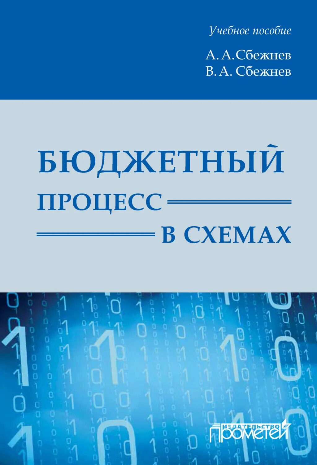 Бюджетный процесс в схемах: учебное пособие [Цифровая книга]