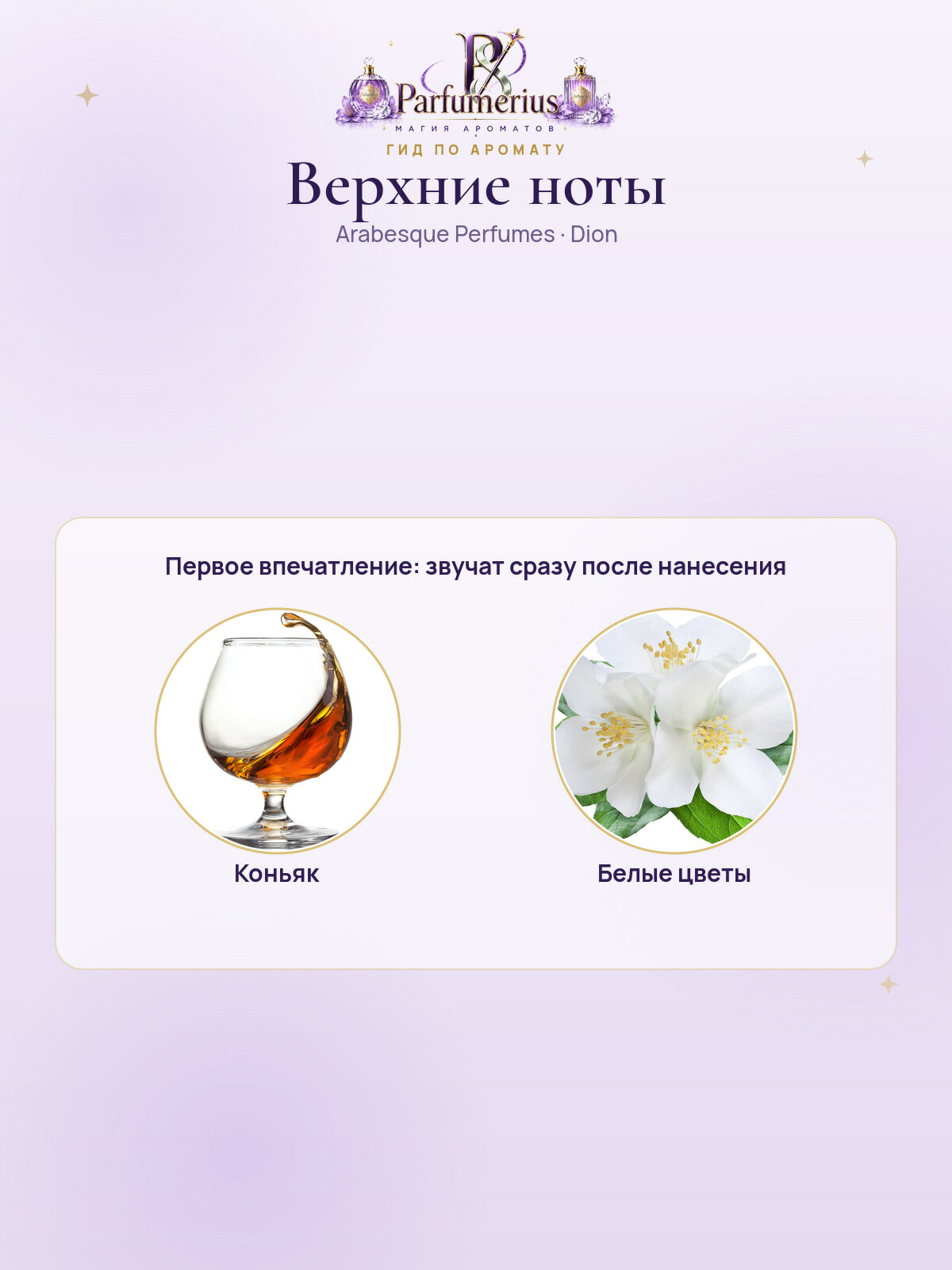 Духи Arabesque Perfumes Dion Extrait de Parfum унисекс 50 мл — фото 1