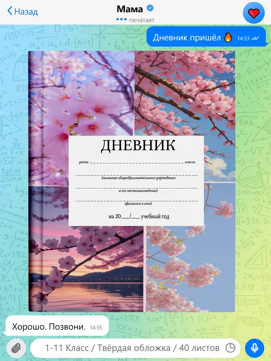 Школьный дневник с принтом y2k pinterest