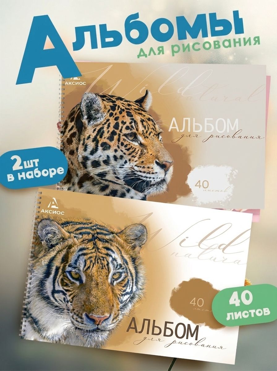 Альбом для рисования А4 в школу 40 листов, комплект 2 штуки, для рисования, творчества и учебы