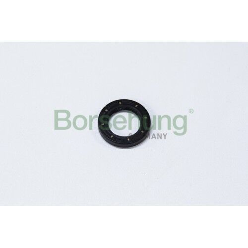 Сальник Кпп (Borsehung B12191)