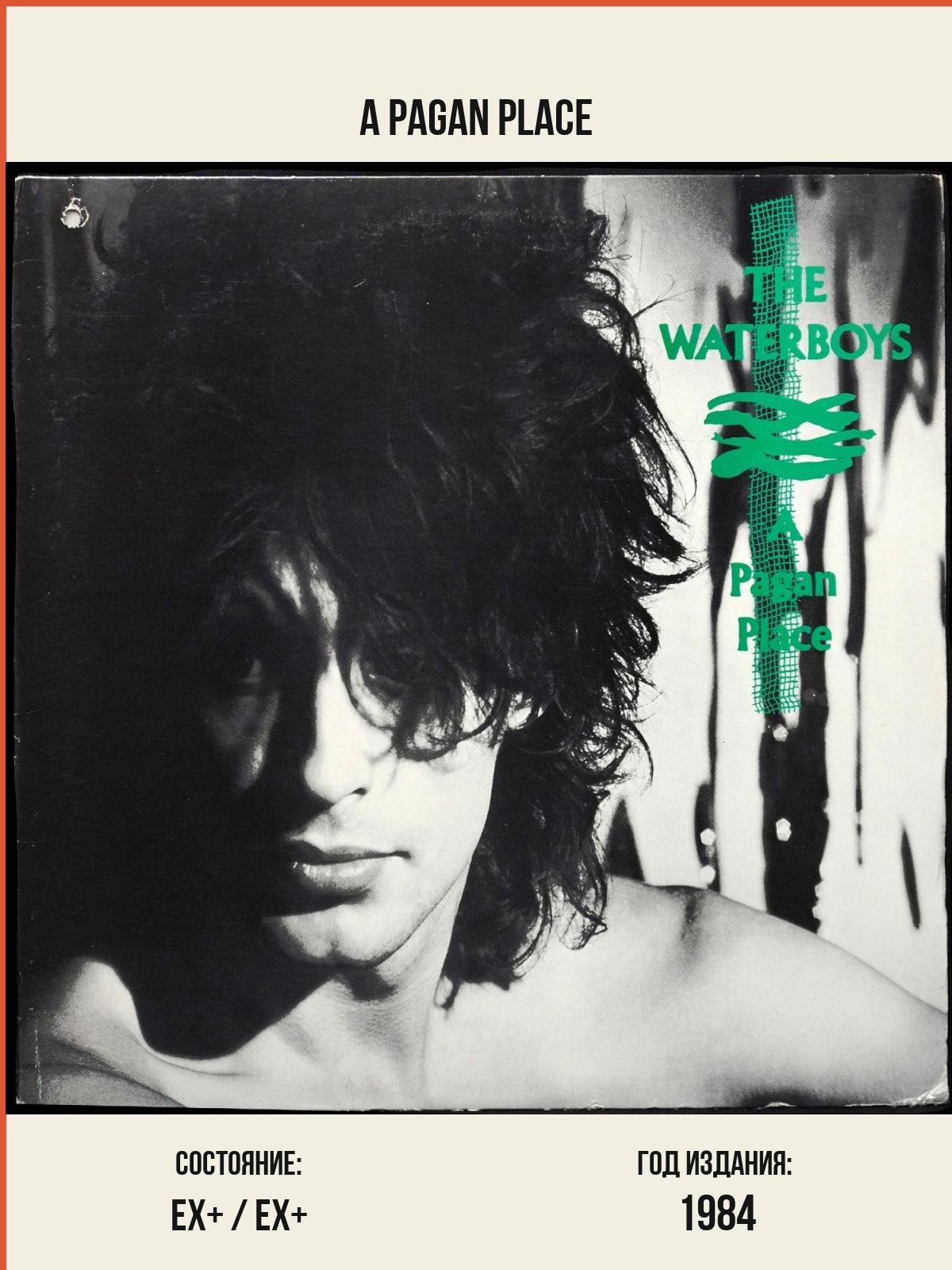 Виниловая пластинка Ensign Waterboys – A Pagan Place