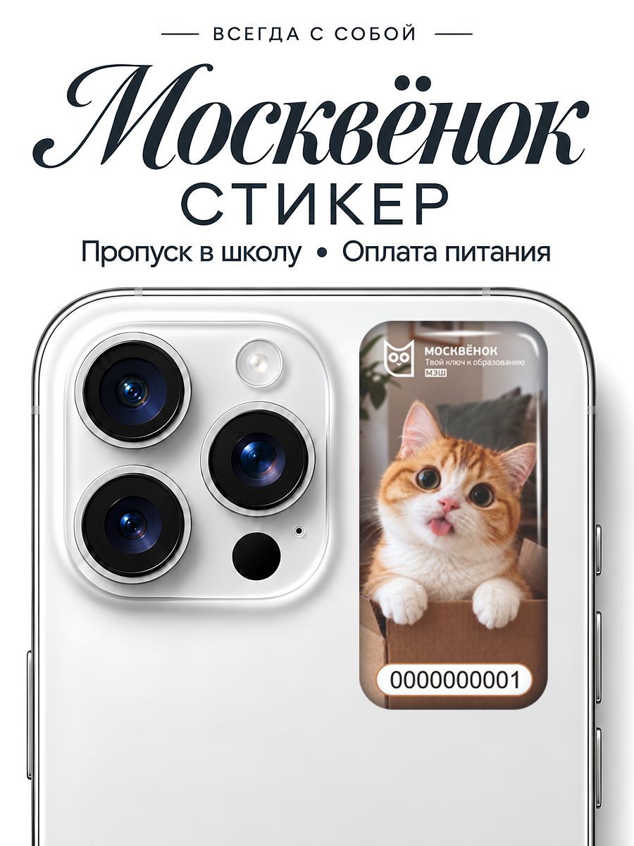 Стикер Москвёнок пропуск в школу