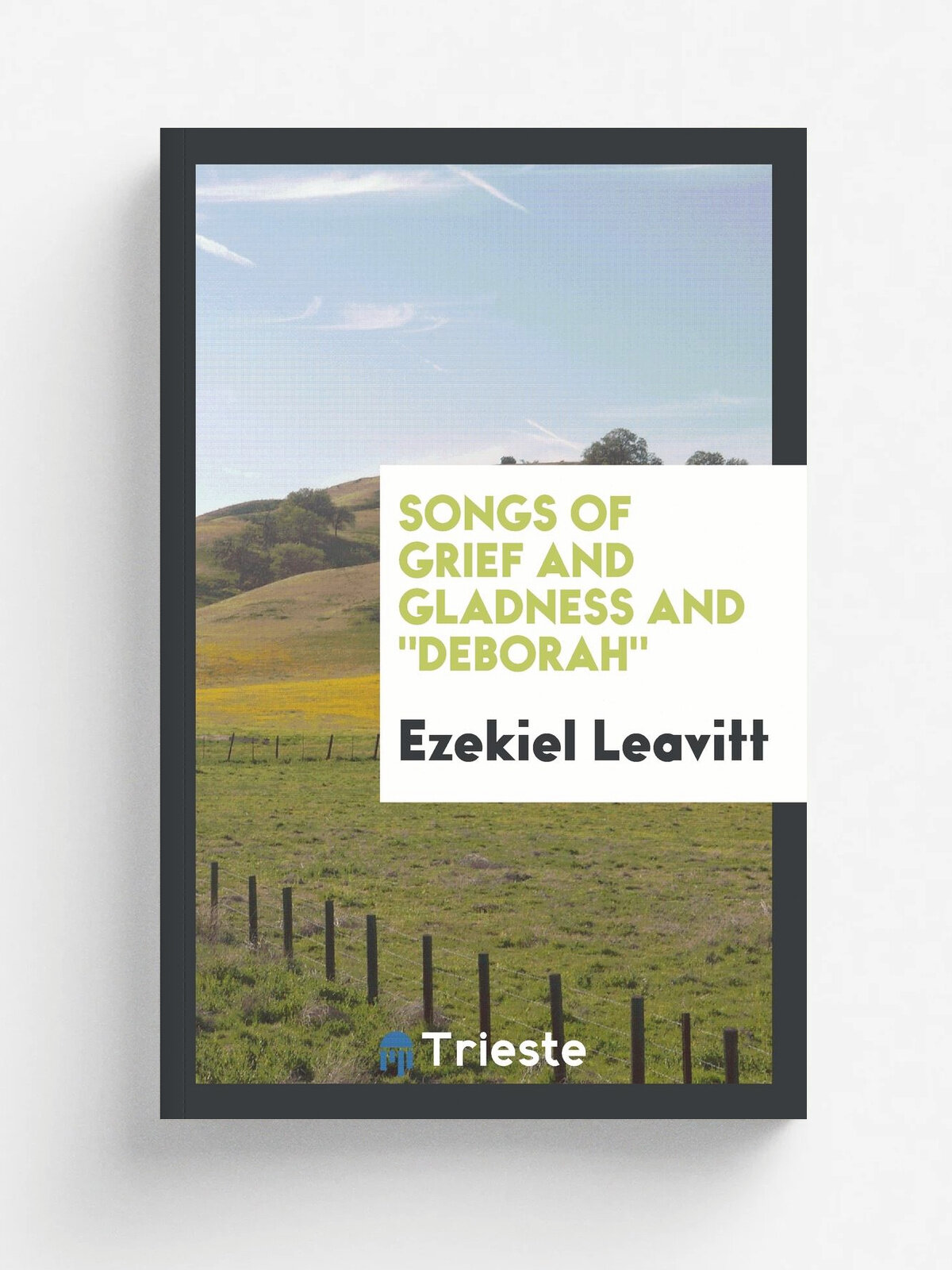 Songs of grief and gladness and "Deborah"