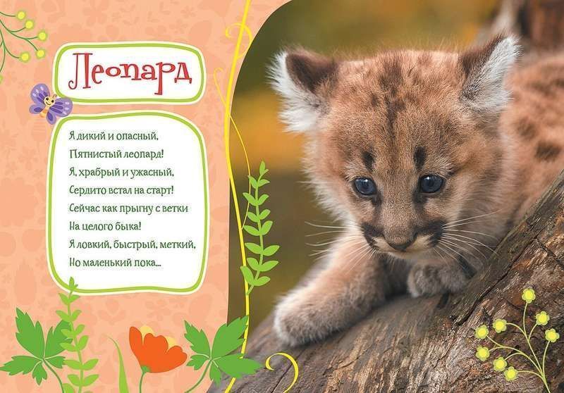 Зоопарк. Учимся с пушистиками развивающее издание для самых маленьких, которое знакомит малышей с животными — фото 1