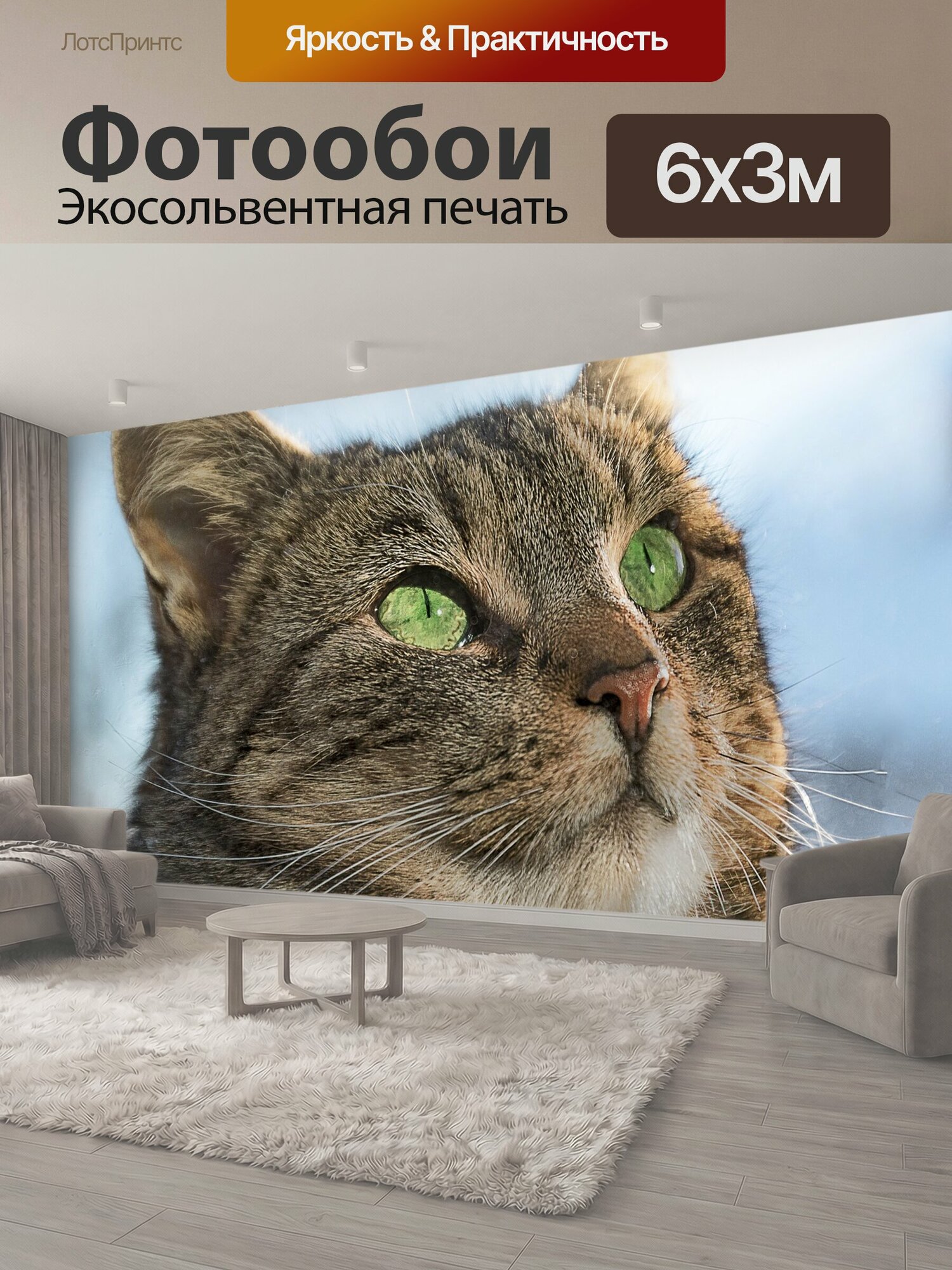 Фотообои "Кот, стеклянная панель, зеленые глаза" 600x300 см. экосольвентная печать