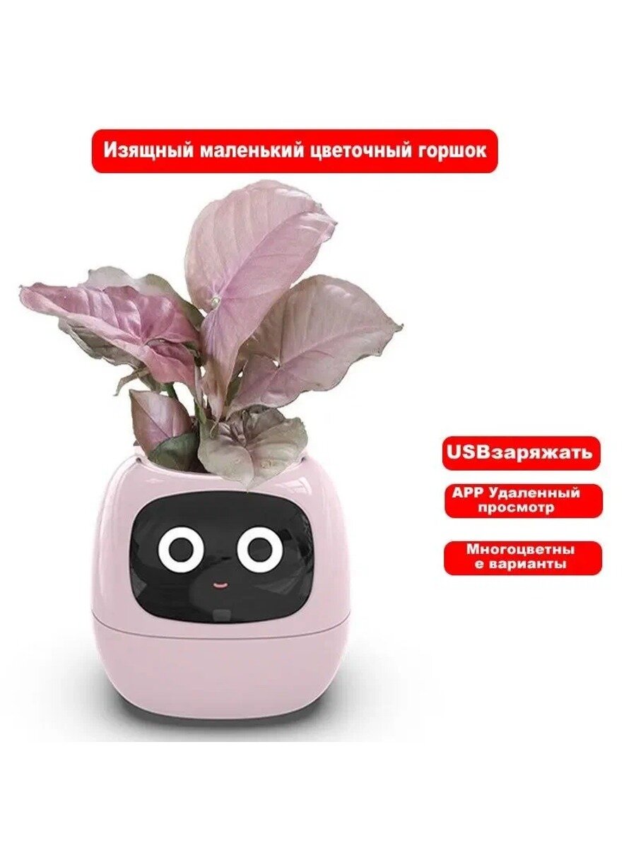 Кашпо с автополивом 0.25 л, 11.4 см, розовый, 1 шт, форма конус
