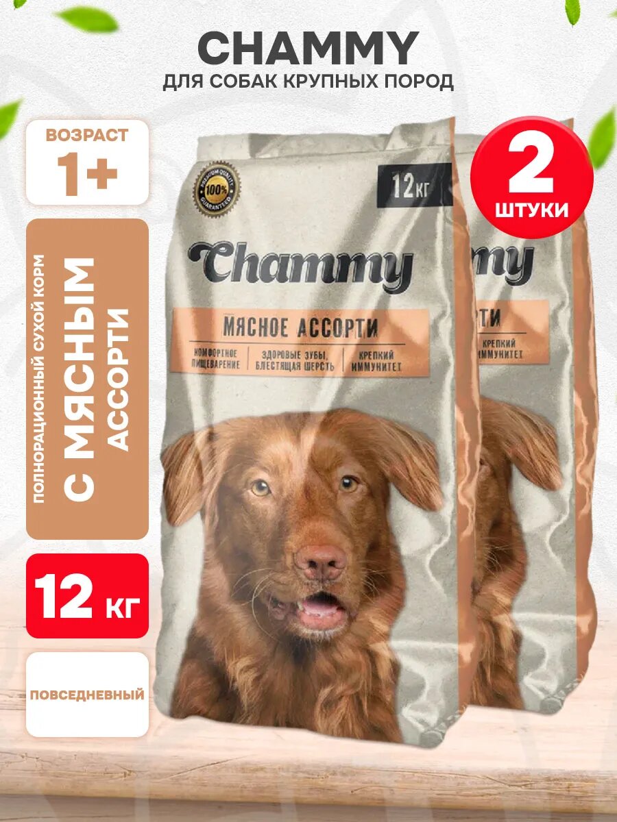 Корм сухой Chammy для взрослых собак крупных пород, мясное ассорти, 12 кг 2 шт