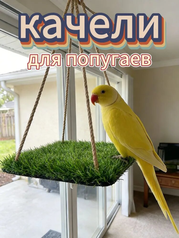 Качели-гамак для попугаев и птиц, зеленая лужайка в клетку, игрушка подвесная, 25 см