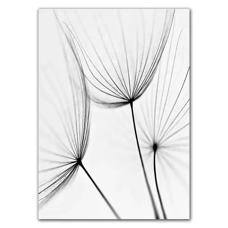 Абстрактная черно-белая картина на холсте с одуванчиком 9, 40x50cm