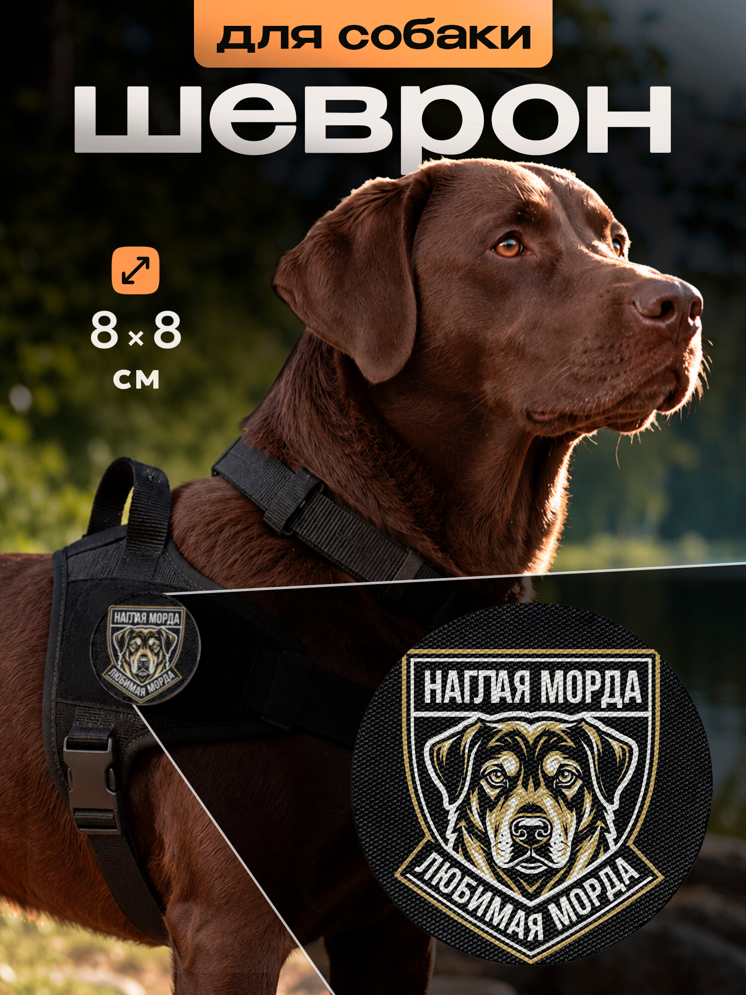 Шеврон IREVIVE кожаный, круглый 8 см, Наглая морда, любимая морда , на липучке, для формы, военному