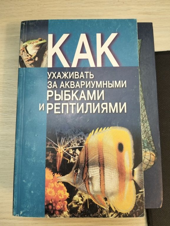 Как ухаживать за аквариумными рыбками и рептилиями.
