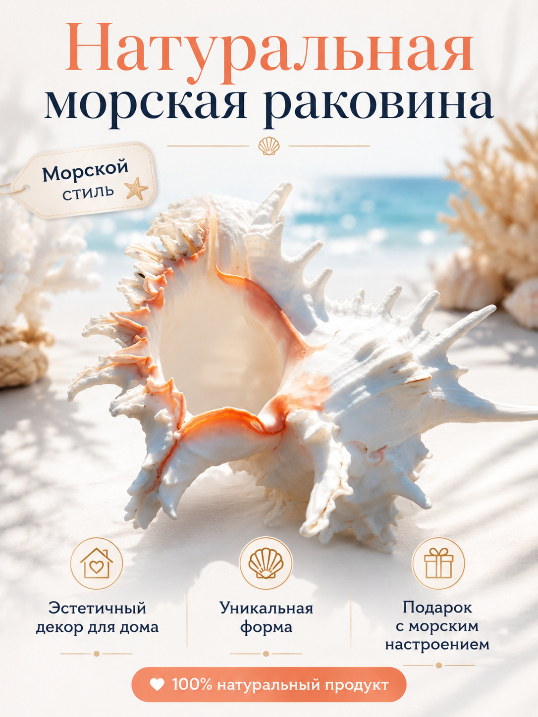 Ракушка морская Мурекс 18-20см.