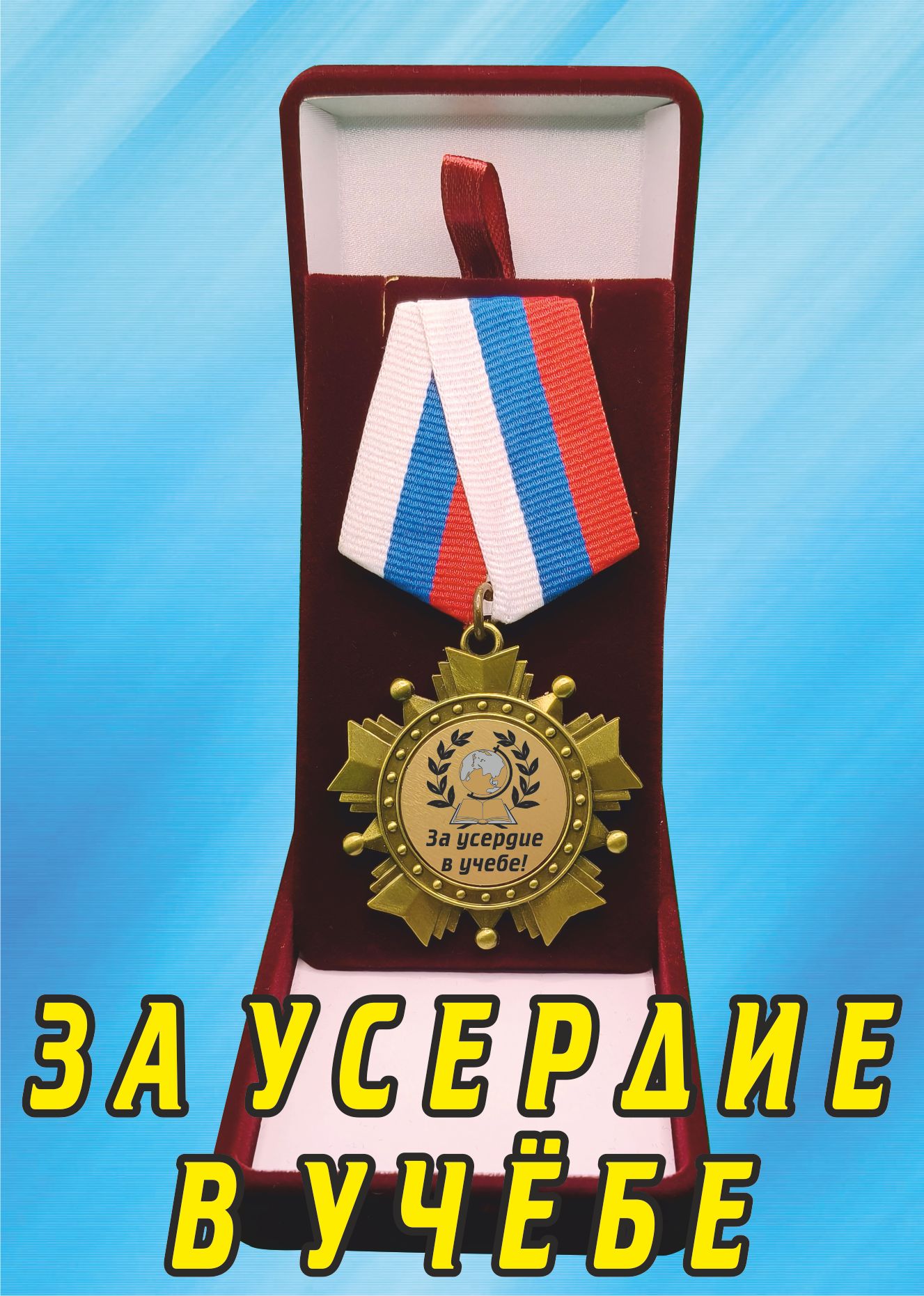 Медаль орден "За усердие в учёбе".