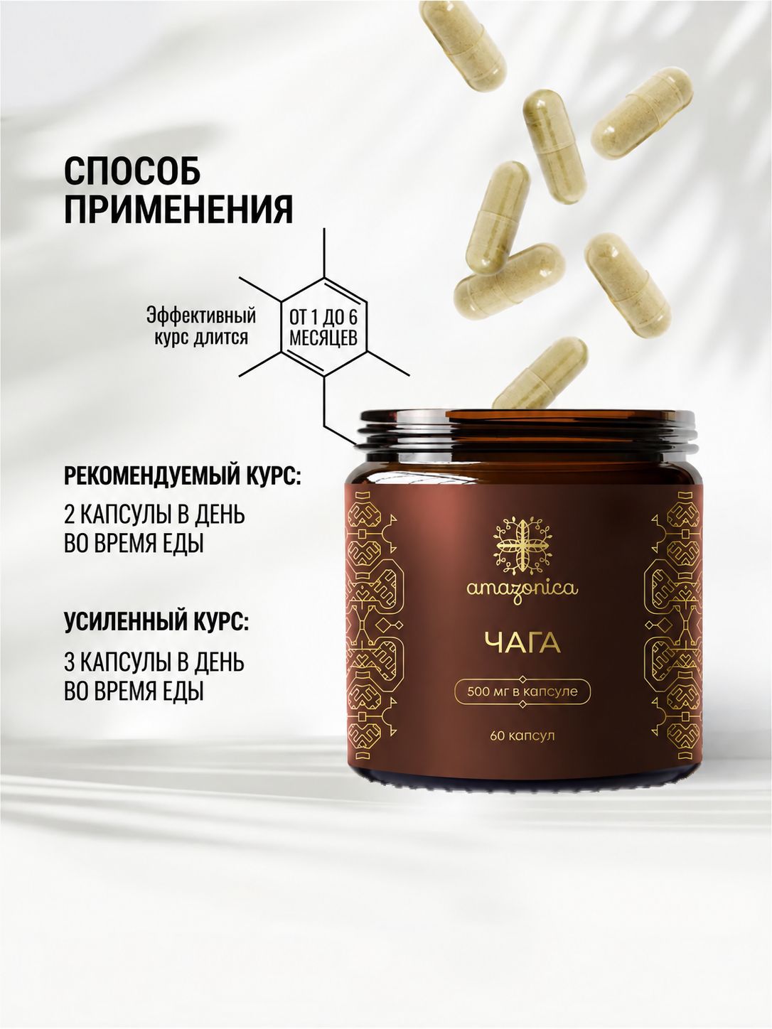 Чага поддержка иммунитета и антиоксидантная защита