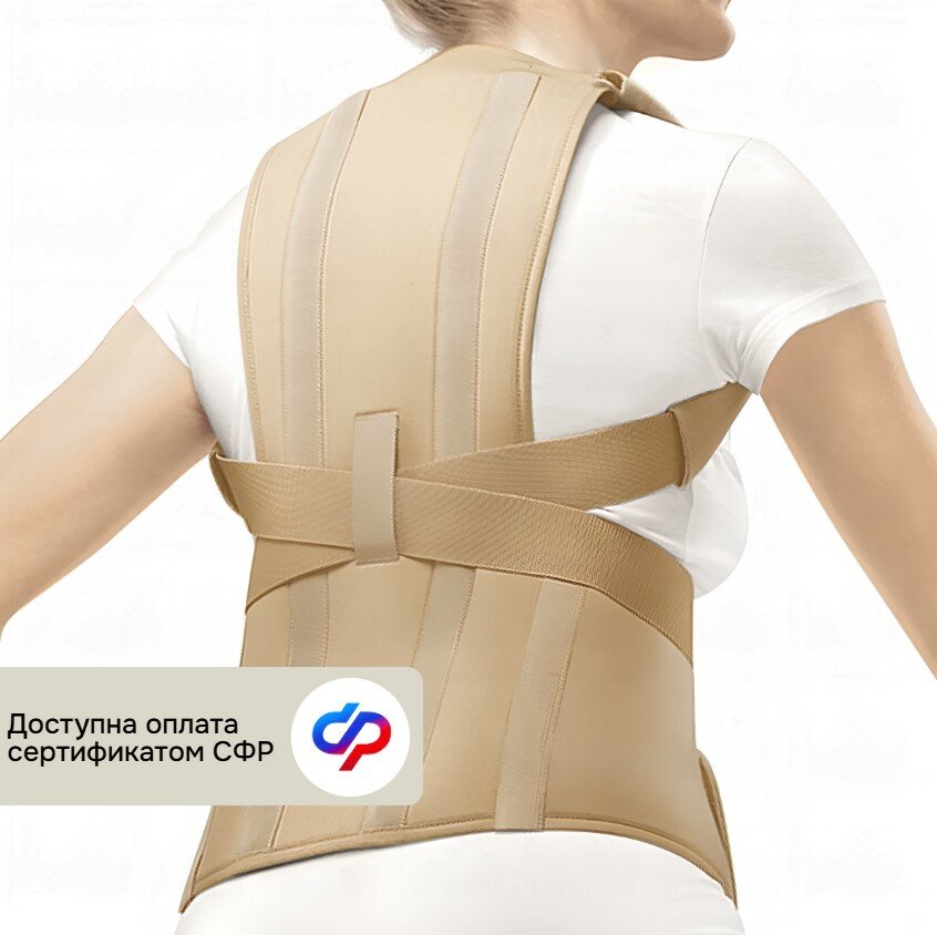 Корректор осанки грудопоясничный Orlett TLSO-250(A) 2G (Корректор осанки TLSO-250 (a) 2G (XL1) длин)