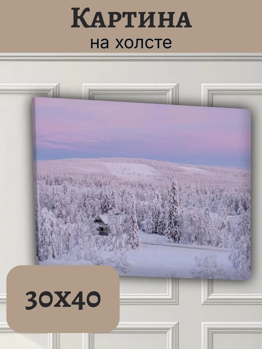 Картина Постер Швеция Sweden 30x40 зимний лесной пейзаж
