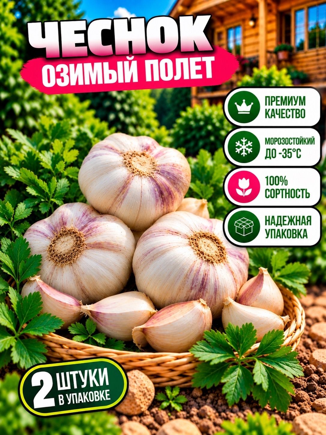 Чеснок озимый на посадку "Полет" 2шт.