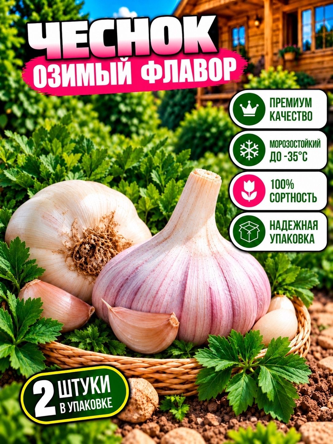Чеснок озимый на посадку "Флавор" 2шт.