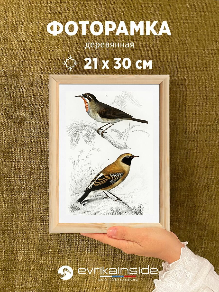 Фоторамка деревянная из массива сосны А4, 21х30, 1 шт формат А4 21х30 см