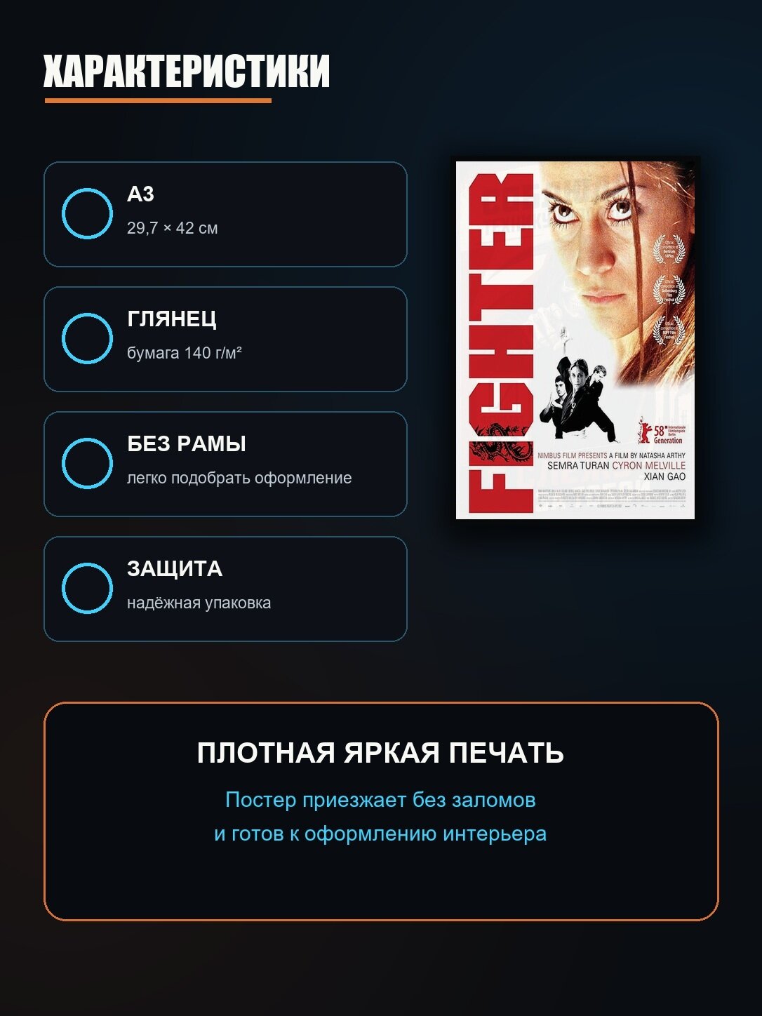 Постер Боец — фото 1