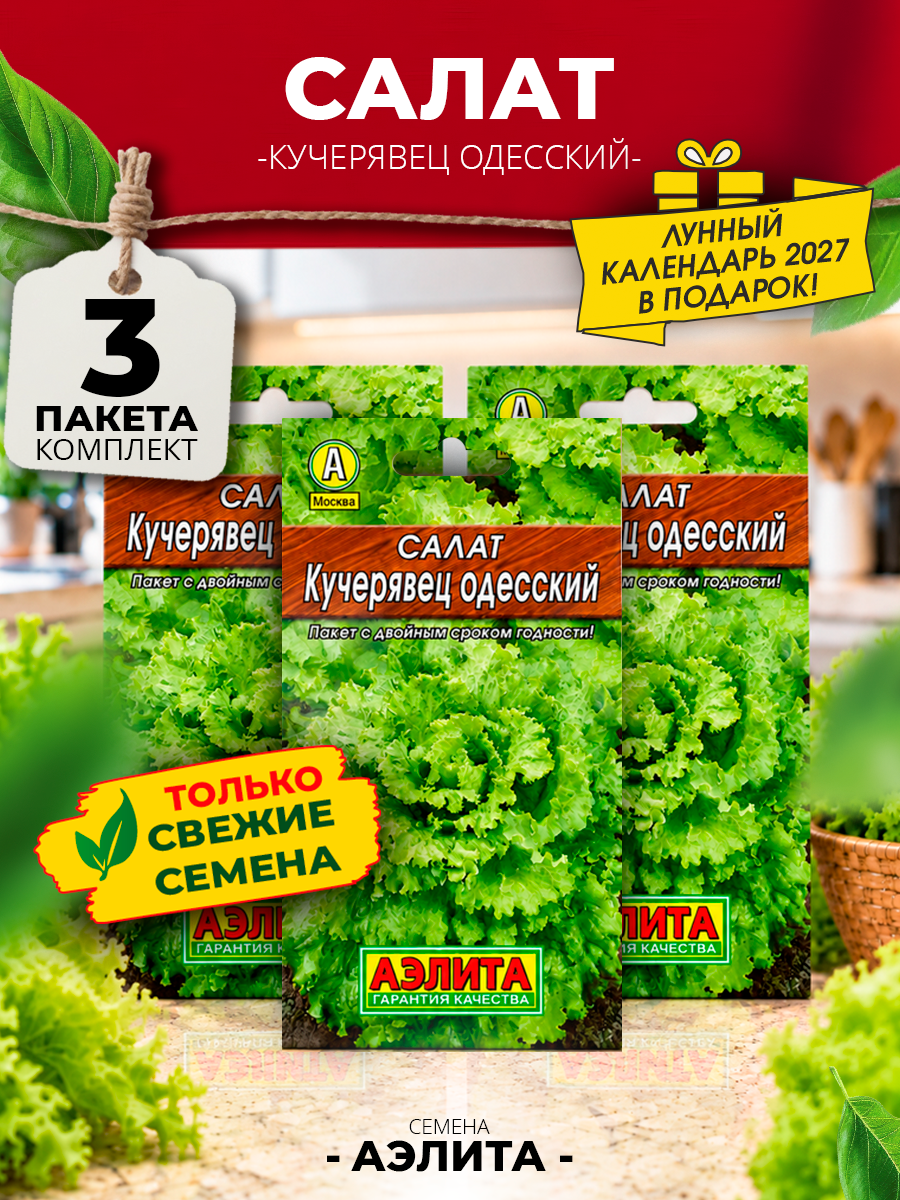 Салат Кучерявец Одесский полукочанный, 0,5г, Лидер (Аэлита) 3 шт.