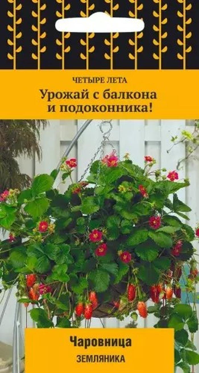 Семена Земляника Чаровница поиск 5 шт ц/п