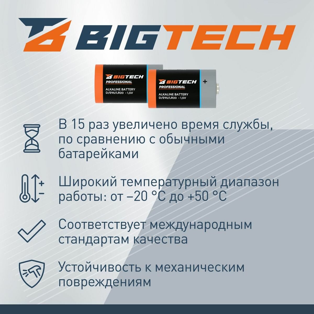 Батарейка BigTech Professional D/E95/LR20 бл/2шт (1988429), 12 уп.
